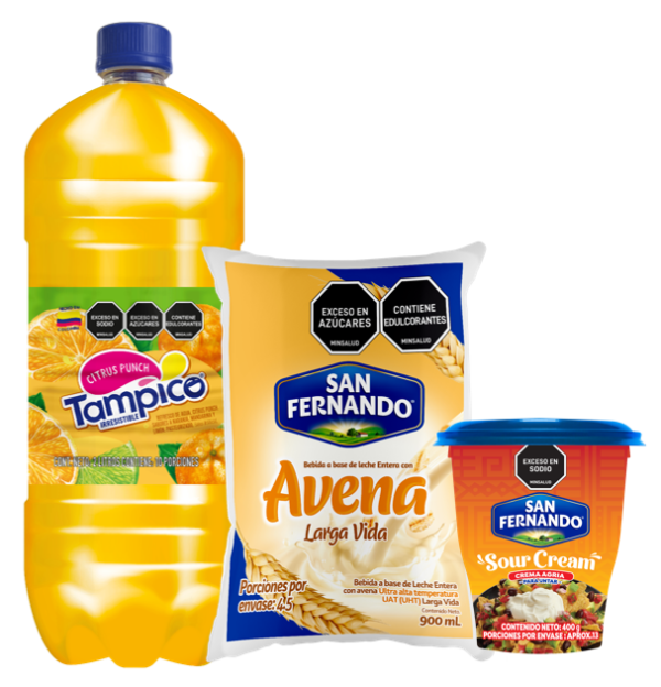COMBO DULCE CON LECHE SAN FERNANDO DOY PACK X 250 G + OBLEAS X 352G - Alival Express